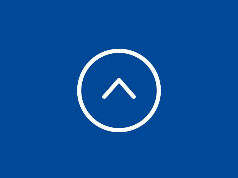 About the company