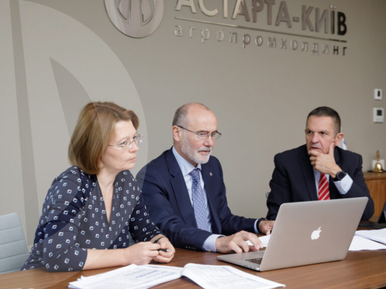 About the company